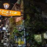 Tokyo: Shinjuku Omoide Yokocho and Golden Gai Tour - Final Thoughts