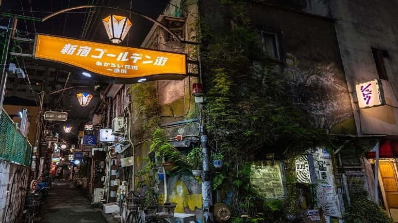 Tokyo: Shinjuku Omoide Yokocho and Golden Gai Tour - Final Thoughts