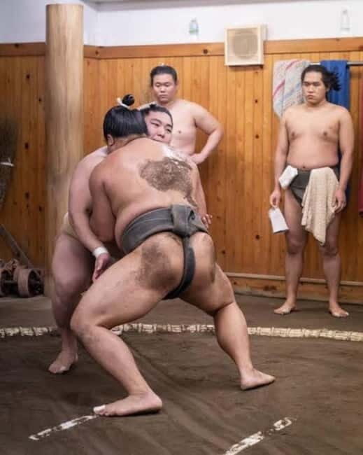 Tokyo: Shinjuku Sumo Experience with Photo - The Breakdown: An In-Depth Look