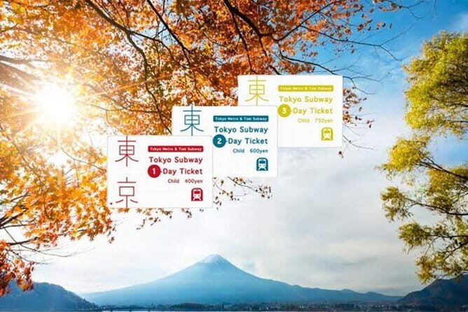 Tokyo Subway Ticket - How and Where to Get Your Ticket