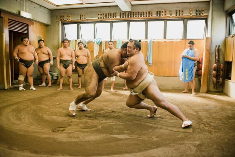 Tokyo: Sumo Live Show in Shinjuku with Photo - Exploring the Experience: What to Expect from the Sumoy Tour in Shinjuku
