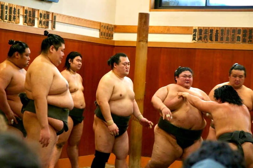 Tokyo: Sumo Morning Practice & Behind-the-Scenes Access - Why This Tour is a Special Offering