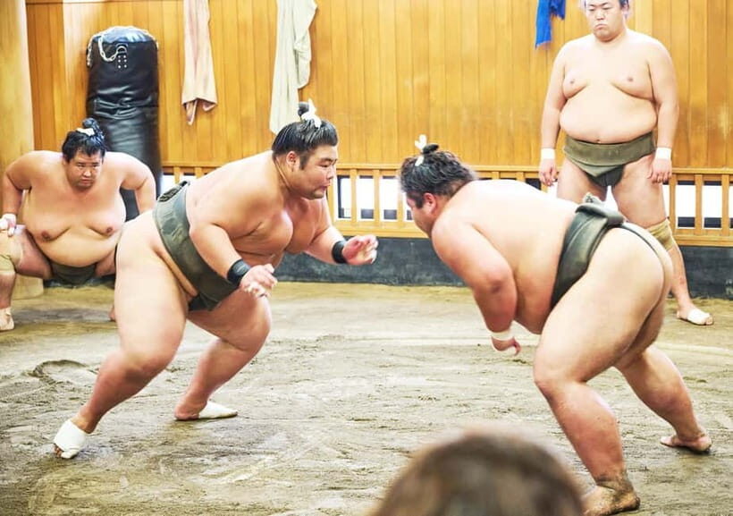 Tokyo: Sumo Morning Practice Viewing Tour at a Real Stable - What Makes This Tour Valuable?