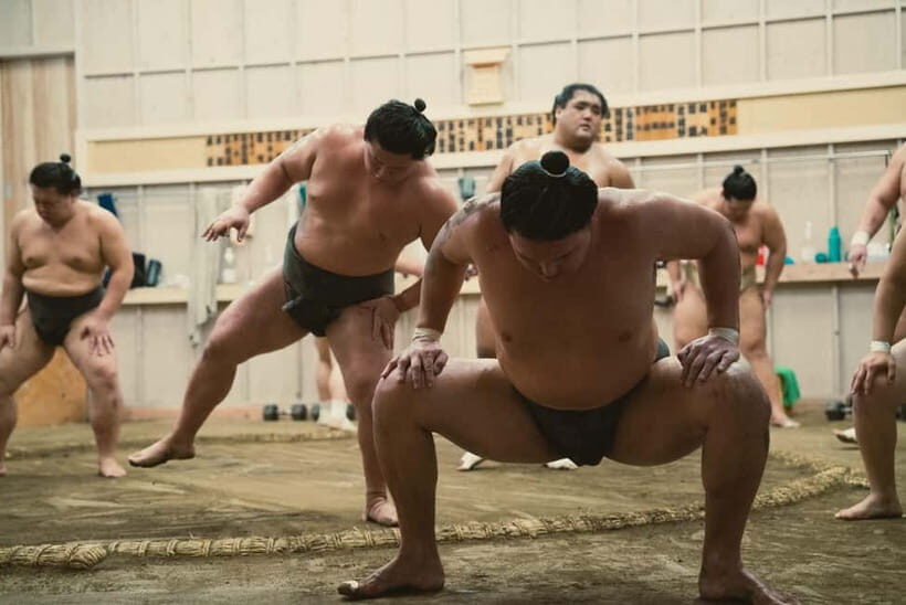 Tokyo Sumo Morning Practice: Witness the Life of a Wrestler - The Value of the Experience