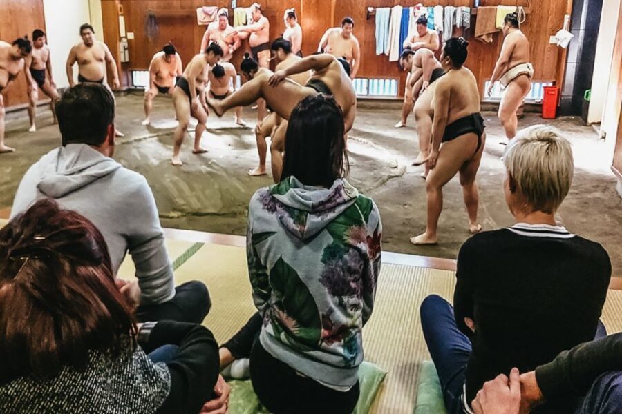 Tokyo: Sumo Morning Training Visit - A Detailed Look at the Sumo Morning Training Visit