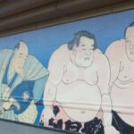 Tokyo: Sumo Tournament Tour with Chair Seat Tickets - Final Thoughts: Who Is This Tour For?