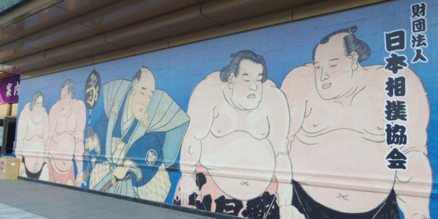 Tokyo: Sumo Tournament Tour with Chair Seat Tickets - Final Thoughts: Who Is This Tour For?