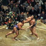Tokyo: Sumo Tournament with Guide & Assigned Reserved Seat - Analyzing the Value