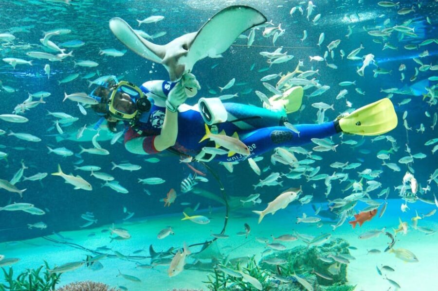 Tokyo: Sunshine Aquarium Entry Ticket - Practicalities and What You Can Expect
