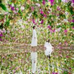 Tokyo: teamLab Planets TOKYO Digital Art Museum Entry Ticket - Why You Should Visit