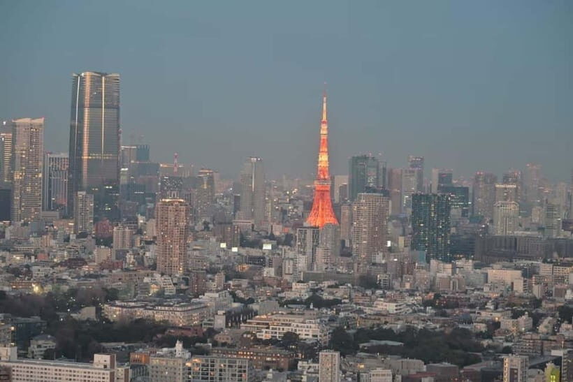 Tokyo Tour: Senso-ji, Meiji Shrine, Shibuya & Skytree Visit - Who Should Consider This Tour?