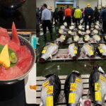 Tokyo Toyosu Tuna Auction w Dealer + Sushi (Standard to VIP) - Who Should Consider This Tour?