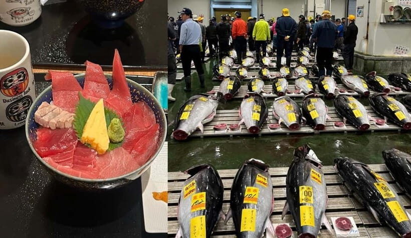 Tokyo Toyosu Tuna Auction w Dealer + Sushi (Standard to VIP) - Who Should Consider This Tour?