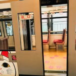 Tokyo: We love Shibuya, Hachiko and the lucky cat temple - Serene Escape: Gotoku-ji Temple and the Lucky Cat
