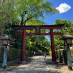 Tokyo: Yanaka & Ueno,  Tokyo of Tradition Guided Tour - What Makes This Tour Stand Out?