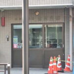 Tokyo: Yoshiwara Brothel History Walking Tour - A Closer Look at the Tour