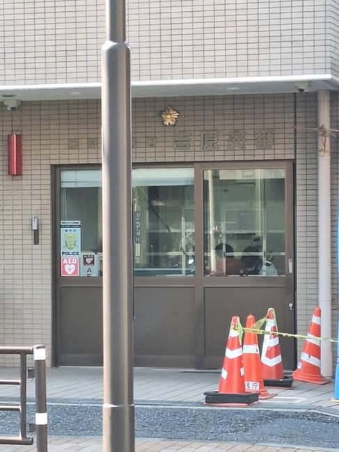 Tokyo: Yoshiwara Brothel History Walking Tour - A Closer Look at the Tour
