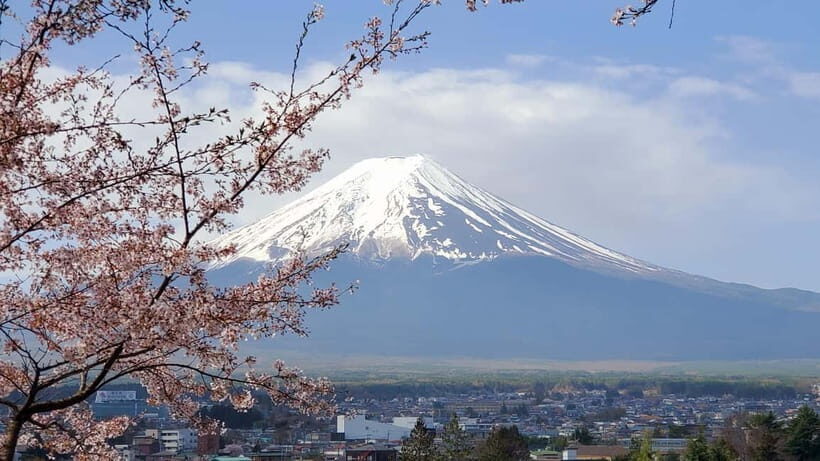 Tokyo:2 Days Mount Fuji & Hakone Private Tour (Customizable) - What Makes This Tour Stand Out?