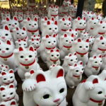 Tokyo:An Unique temple Walking Tour for cat lovers - What You Can Expect During the Tour