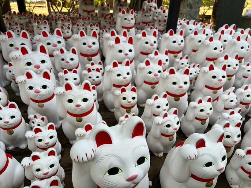 Tokyo:An Unique temple Walking Tour for cat lovers - What You Can Expect During the Tour