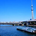 Tokyo:Meiji Shrine,Imperial Palace,Asakusa,Odaiba,cruise - Who Will Love This Experience?