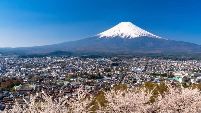 Tokyo:Mt. Fuji 5th Station&Onsen Day Trip | Seasonal Special - Real Traveler Perspectives: Authentic Experiences and Caveats