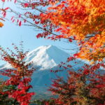 Tokyo:Mt.Fuji 5th Station,Oshino Hakkai&Kawaguchiko Day Tour - Insights from Traveler Reviews
