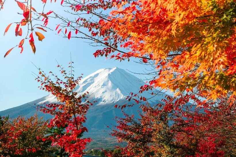 Tokyo:Mt.Fuji 5th Station,Oshino Hakkai&Kawaguchiko Day Tour - Insights from Traveler Reviews