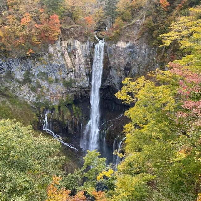 Tokyo:Nikko UNESCO World Heritage Sites Private 1-Day Tour - Who Should Consider This Tour?