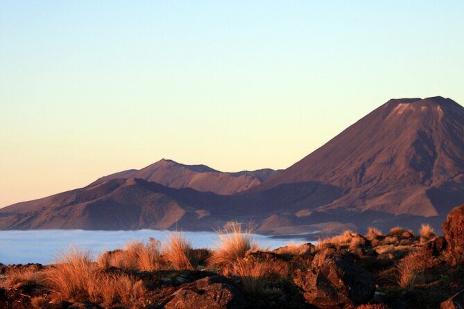 Tongariro Alpine Crossing One-Way Ketetahi Only Private Carpark - How the Shuttle Works and What You Can Expect