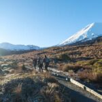 Tongariro Alpine Half Day Guided Group Walk - The Highlights of the Tour