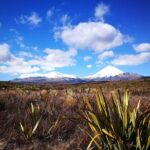 Tongariro Discovery Walk - The Experience of a Lifetime or a Great Day Out?