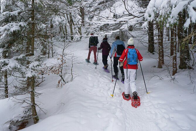 Tongariro National Park Northern Explorer Train and Snowshoeing - Practical Details and What You’ll Get