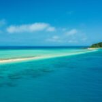 Tongarra: All-Inclusive Day Sail - Who Is This Tour Best For?