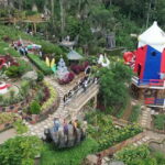 Top Cebu Sights + Free Sirao Drone Shot! - What to Expect on the Tour
