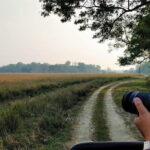 Tour of Pobitora Wildlife Sanctuary from Guwahati with Safari, Lunch and Guide - The Heart of the Tour: Pobitora Wildlife Sanctuary
