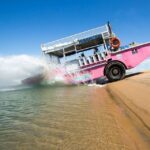 Town 1770: Afternoon Coastline Tour - What You Can Expect from the Tour