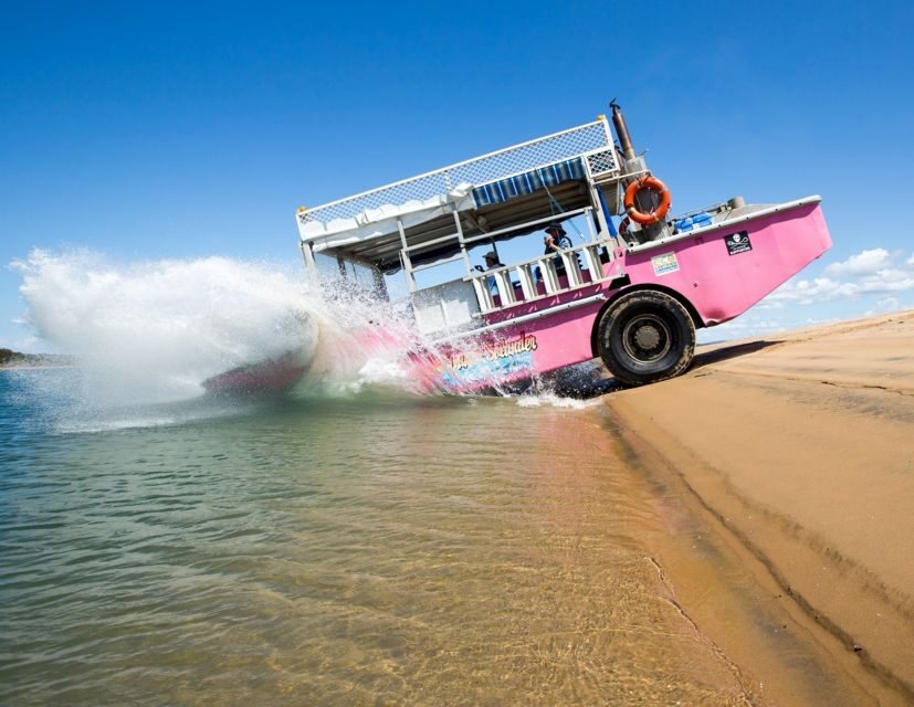 Town 1770: Afternoon Coastline Tour - What You Can Expect from the Tour