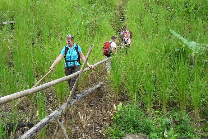 Traditional Bidayuh Village Bamboo Longhouse Tour - The Village and Its People