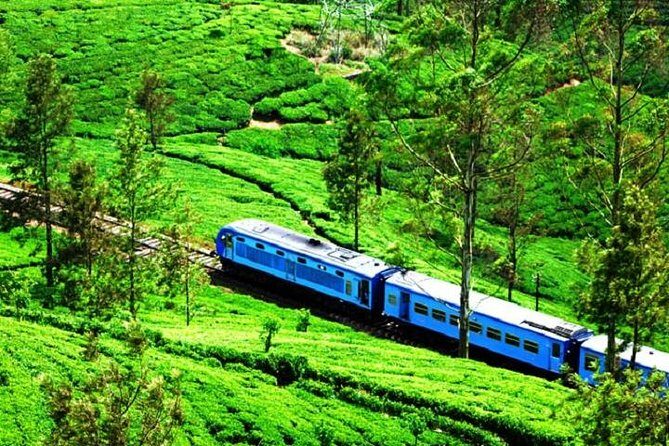 Train from Kandy to Colombo - What the Reviews Say