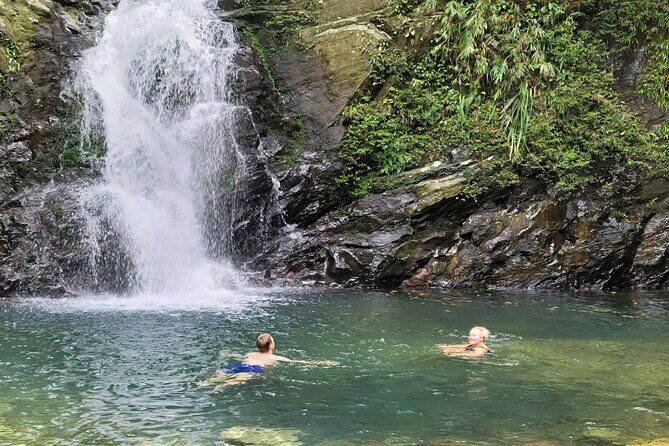 Transfer from Da Nang or Hoi An to Hue via Bach Ma National Park - Who Should Consider This Tour?