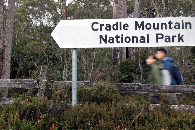 Transfer from Launceston to Cradle Mountain - Final Thoughts