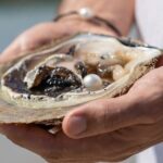 Treasures of Broome Tour - What the Reviews Tell Us