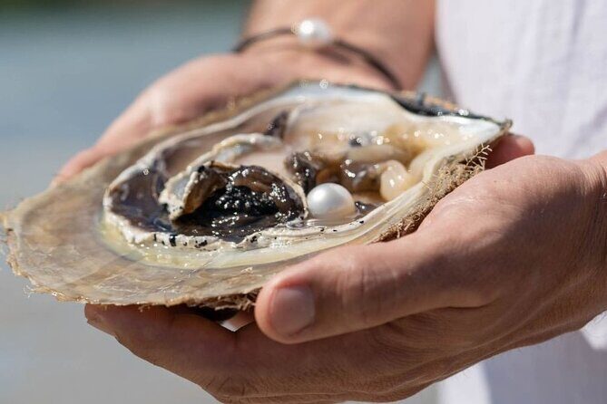 Treasures of Broome Tour - What the Reviews Tell Us