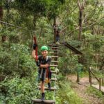 Treetop Challenge Adrenaline Pass - The Sum Up: Who Is It Best For?