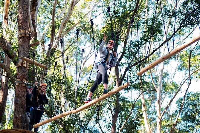 Treetops Adventure Coffs Harbour Tree Ropes Course - Who Should Consider This Adventure?