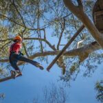 Treetops Adventure Newcastle with Tree Ropes Course - Considerations and Tips