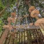 Treetops Adventure The Hills - Tree Ropes Course - What to Expect on Your Day at Treetops Adventure The Hills