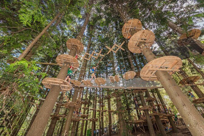 Treetops Adventure The Hills - Tree Ropes Course - What to Expect on Your Day at Treetops Adventure The Hills