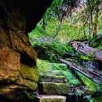 Trek Shoot and Soothe Hiking Tour from Springwood Blue Mountains - The Itinerary: What to Expect